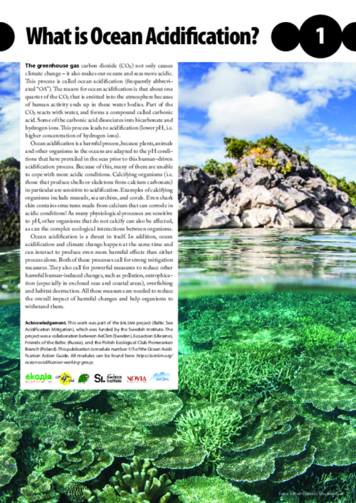 What is Ocean Acidification? | Air Pollution & Climate Secretariat