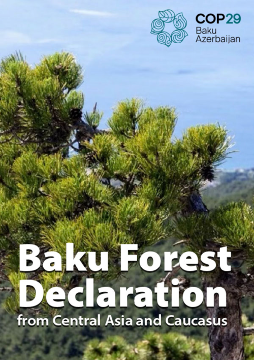 Baku Forest Declaration from Central Asia and Caucasus | Air Pollution & Climate Secretariat